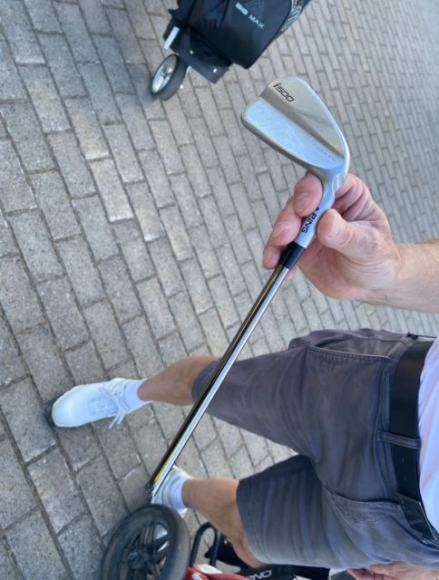 Golfspelare sa till högljutt gäng på banan - misshandlades med ...